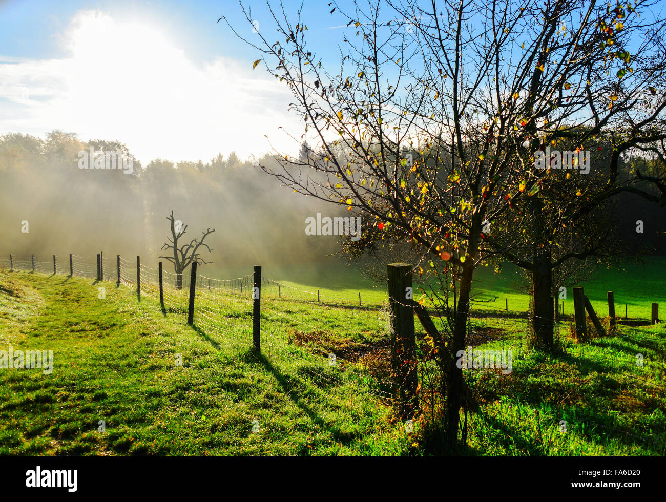 Rural landscape, Baldegg, Aargau, Switzerland Stock Photo - Alamy