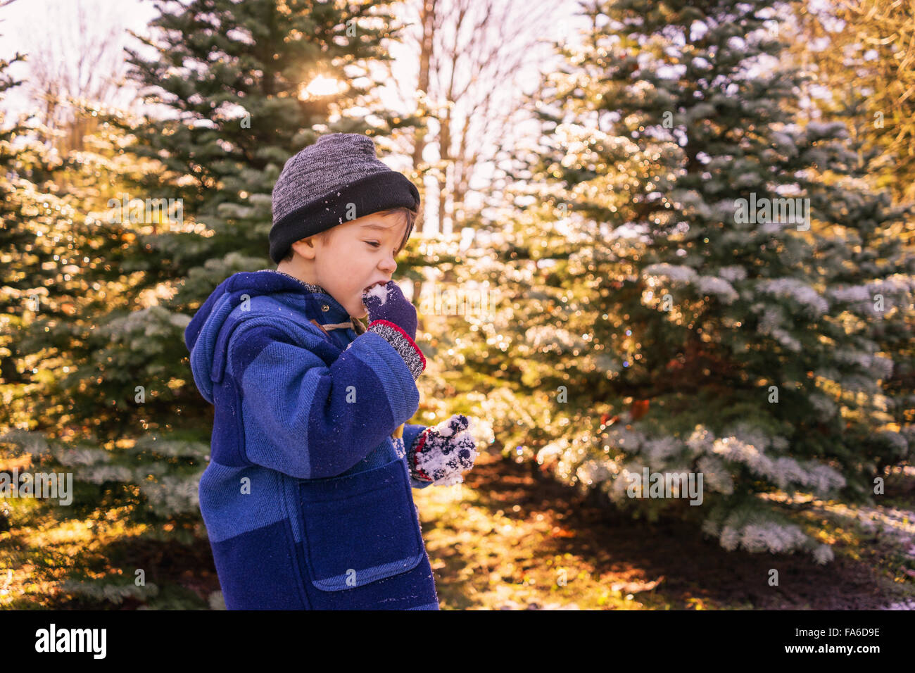 Boy eating snow Stock Photo - Alamy