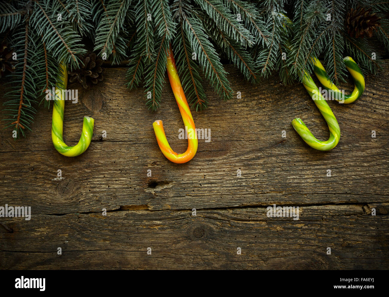 Christmas border with fir tree branches, pine cones and candy cane on ...