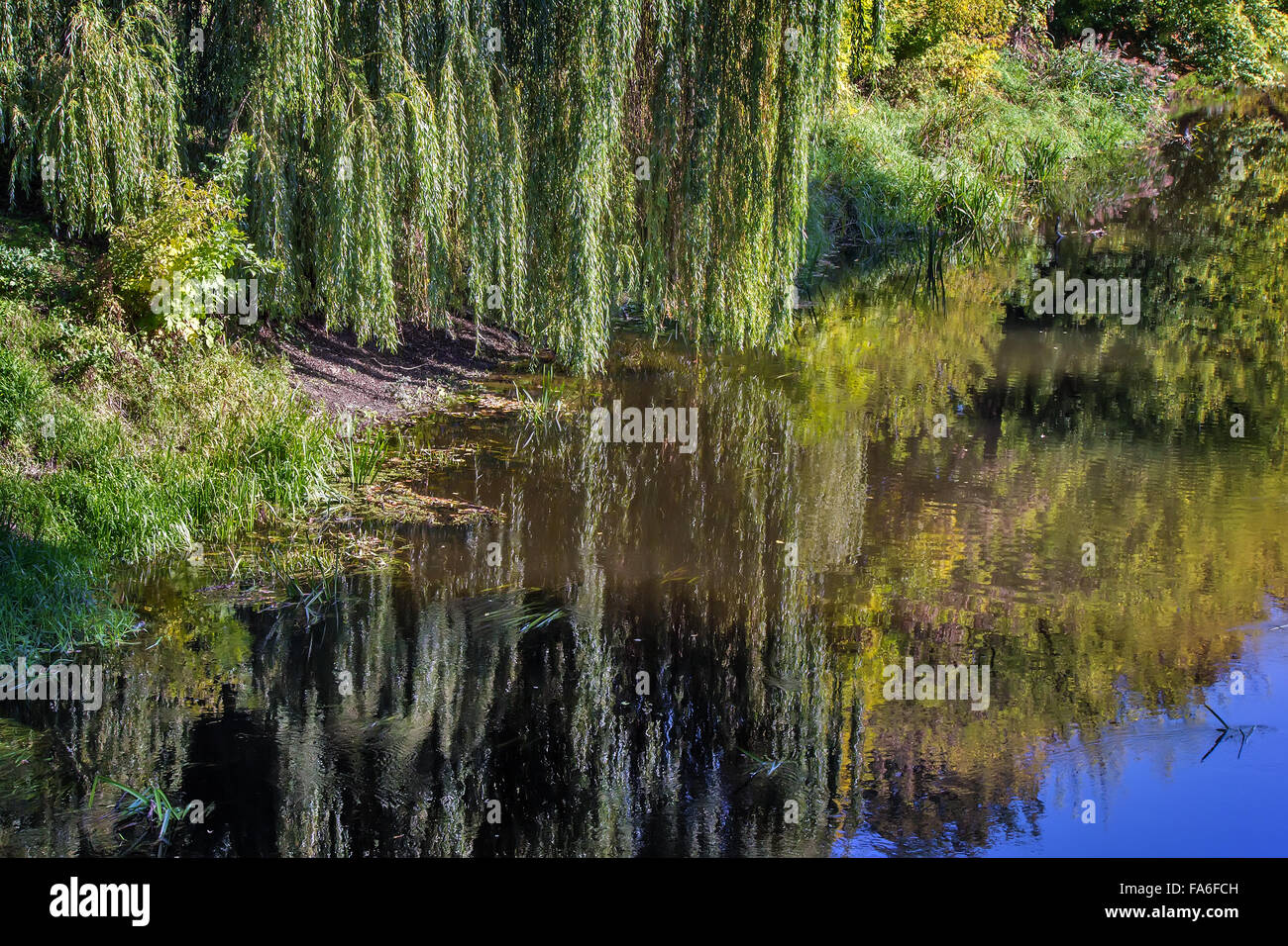 Landscape: a small, peaceful river , the water of which reflected ...