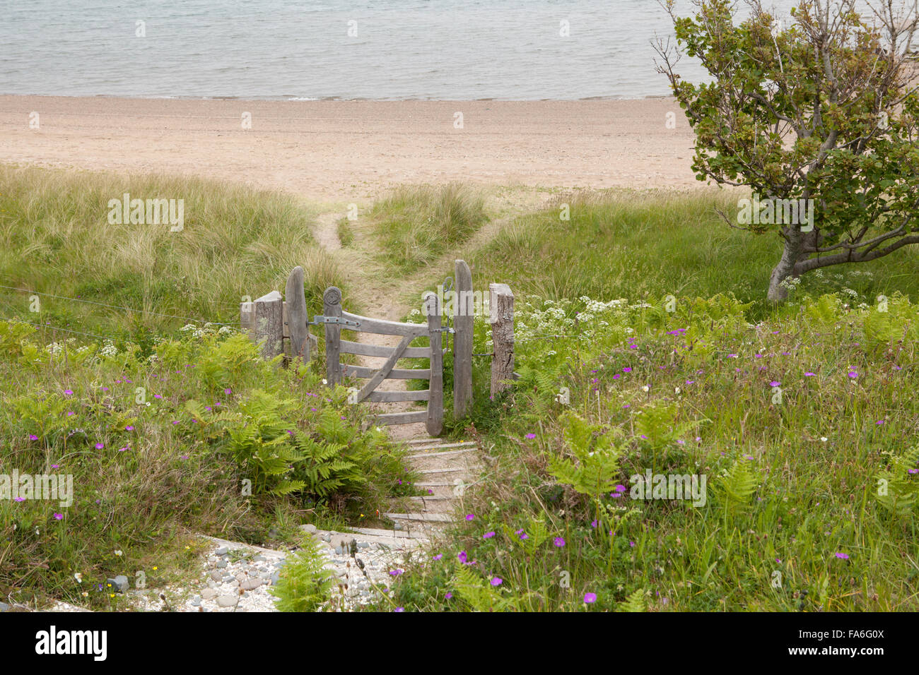 Steps and a footpath to the beach, on the Island of the Blessed ...