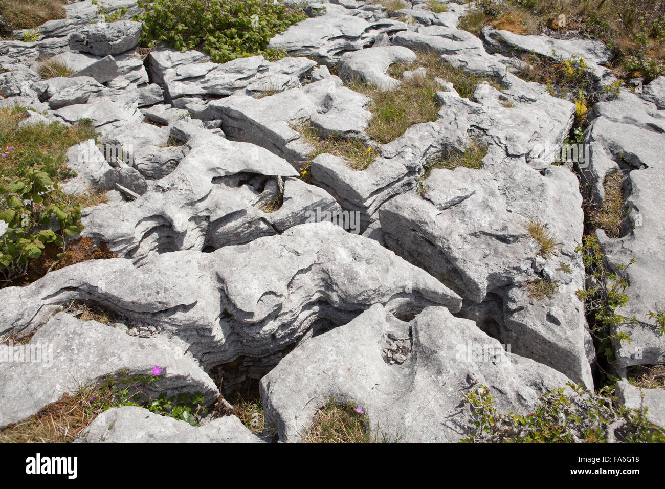 Limestone pavement on the Templecronan Loop walk - the Burren, Ireland ...