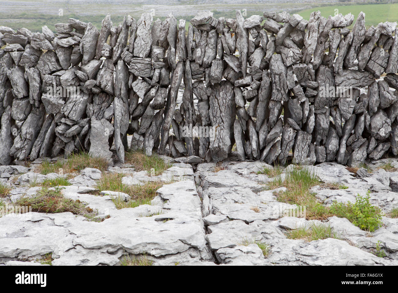 Drystone wall and limestone pavement at Slieve Carran - the Burren ...