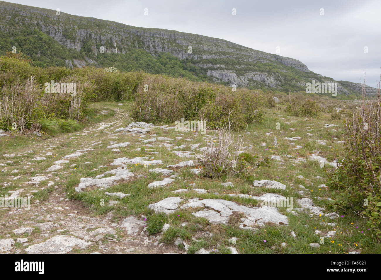 Slieve Carran - Eagle's Rock in the Burren, County Clare, Ireland Stock ...