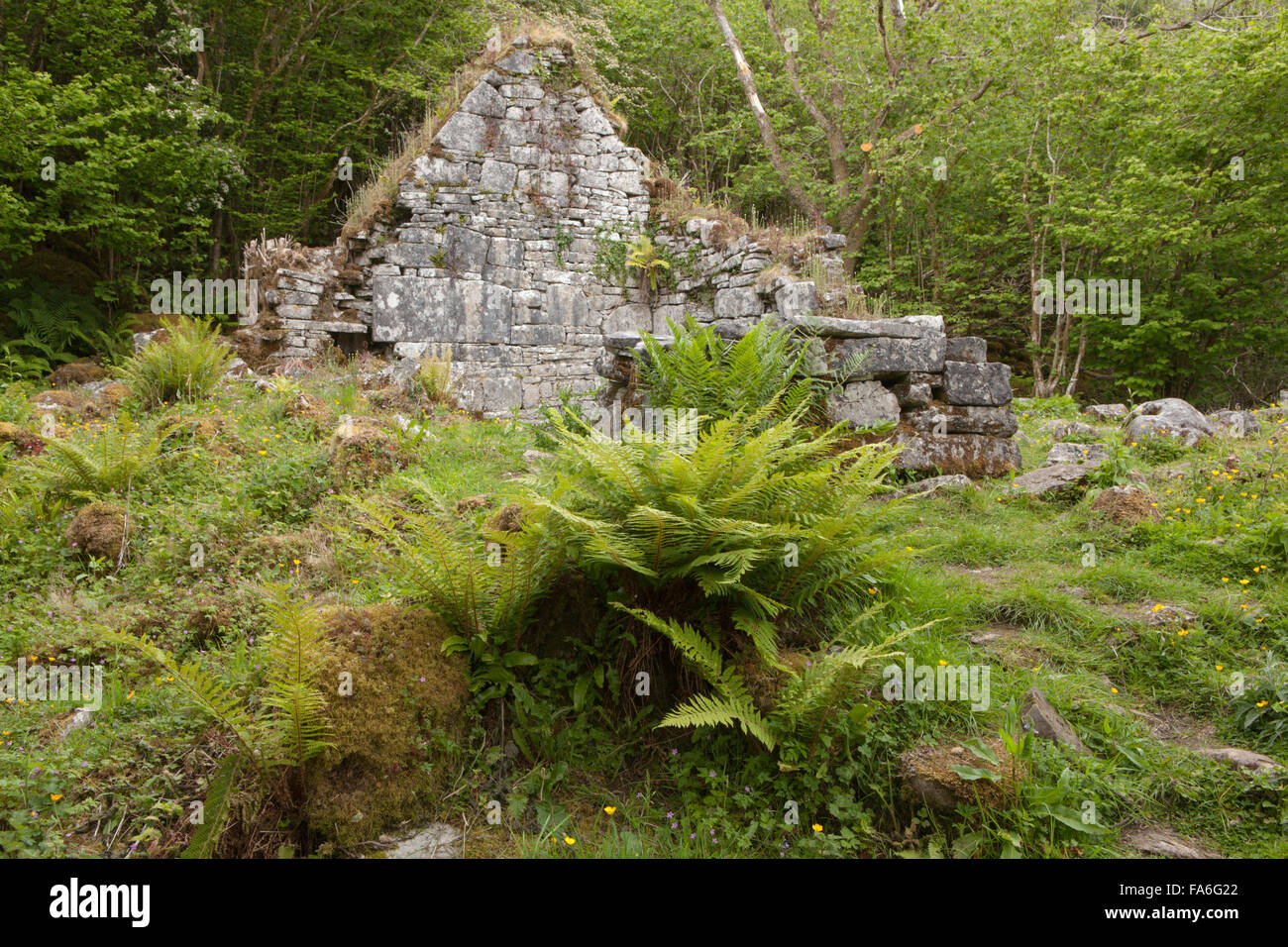 A stone oratory at Slieve Carran (Eagle's Rock) in the Burren, Ireland ...