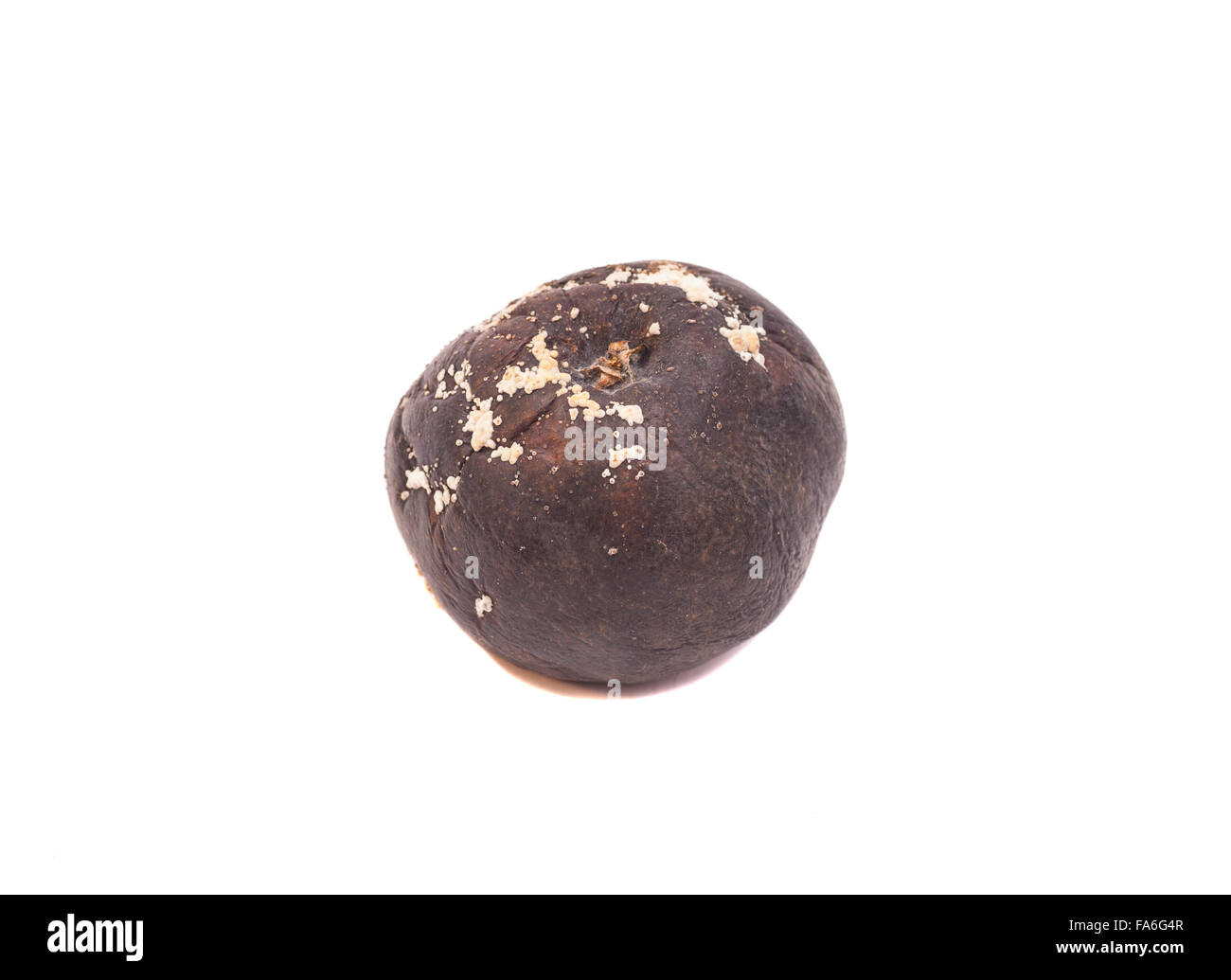 Old skin remains hi-res stock photography and images - Alamy