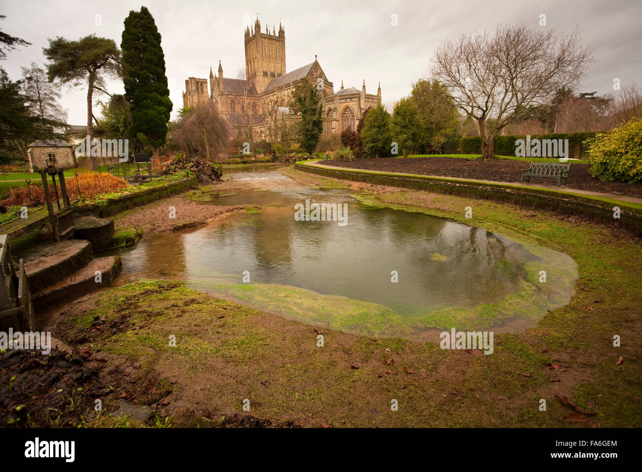 Wells, Somerset,UK 19/12/2015. Draining the fresh water wells that ...
