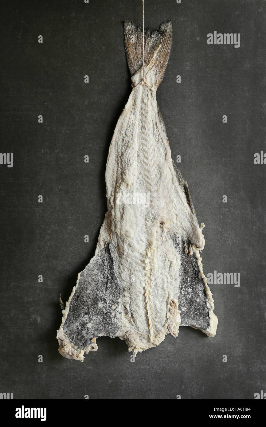 Dry Fish High Resolution Stock Photography and Images - Alamy
