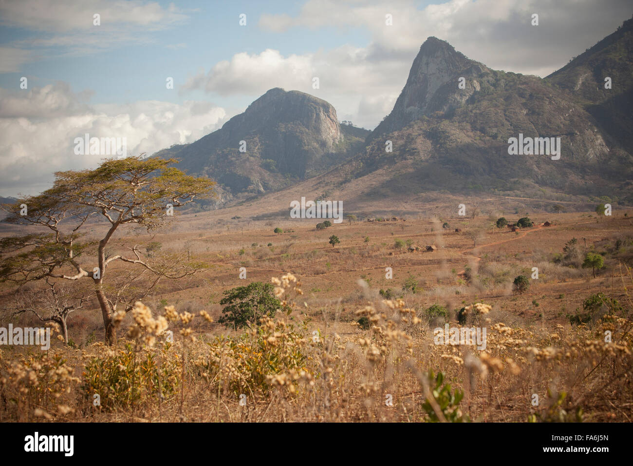 Tanzania eastern arc mountain hi-res stock photography and images - Alamy