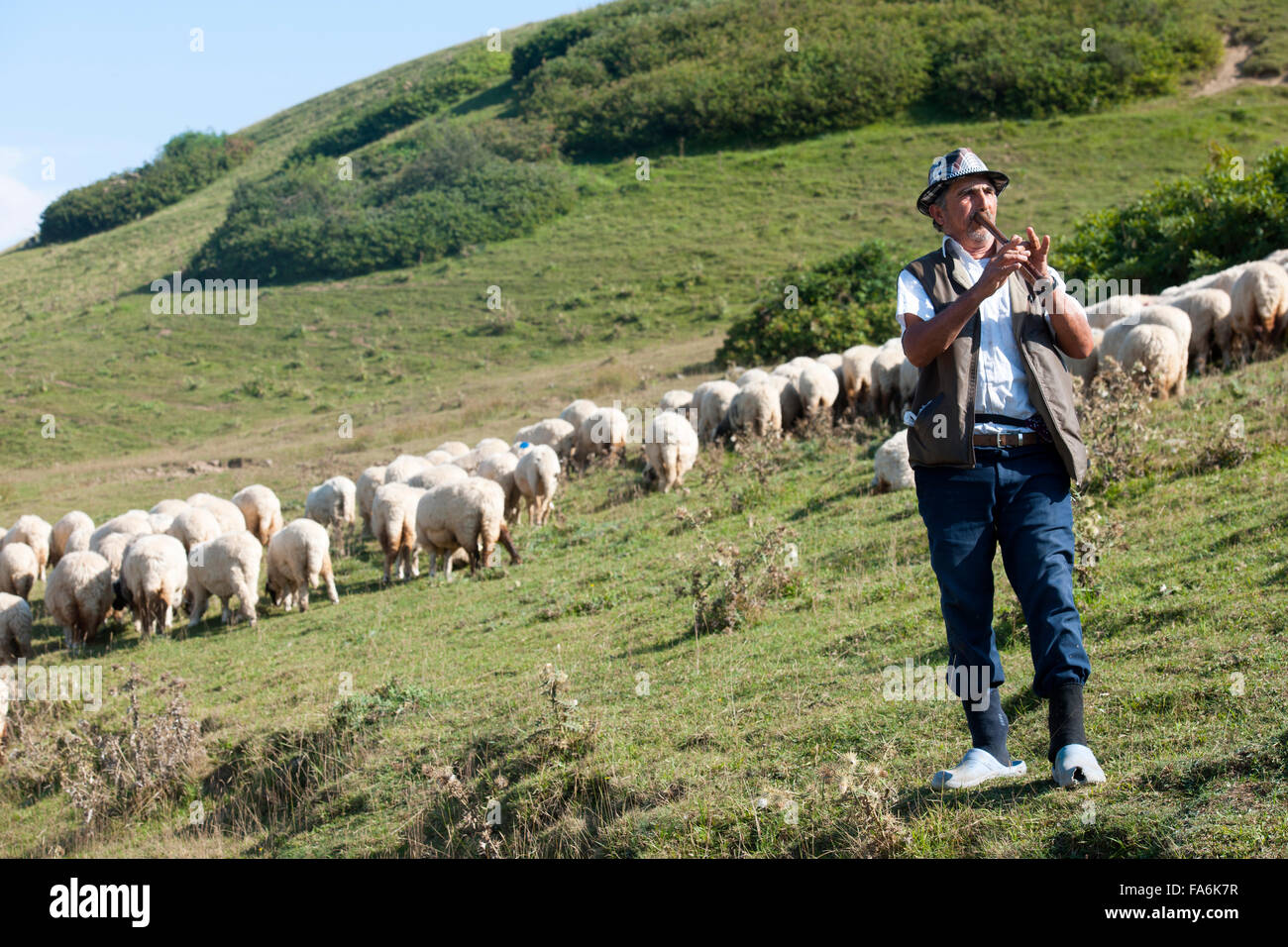 Türkei, westliche Schwarzmeeküste, Provinz Ordu, Persembe Yailasi ...