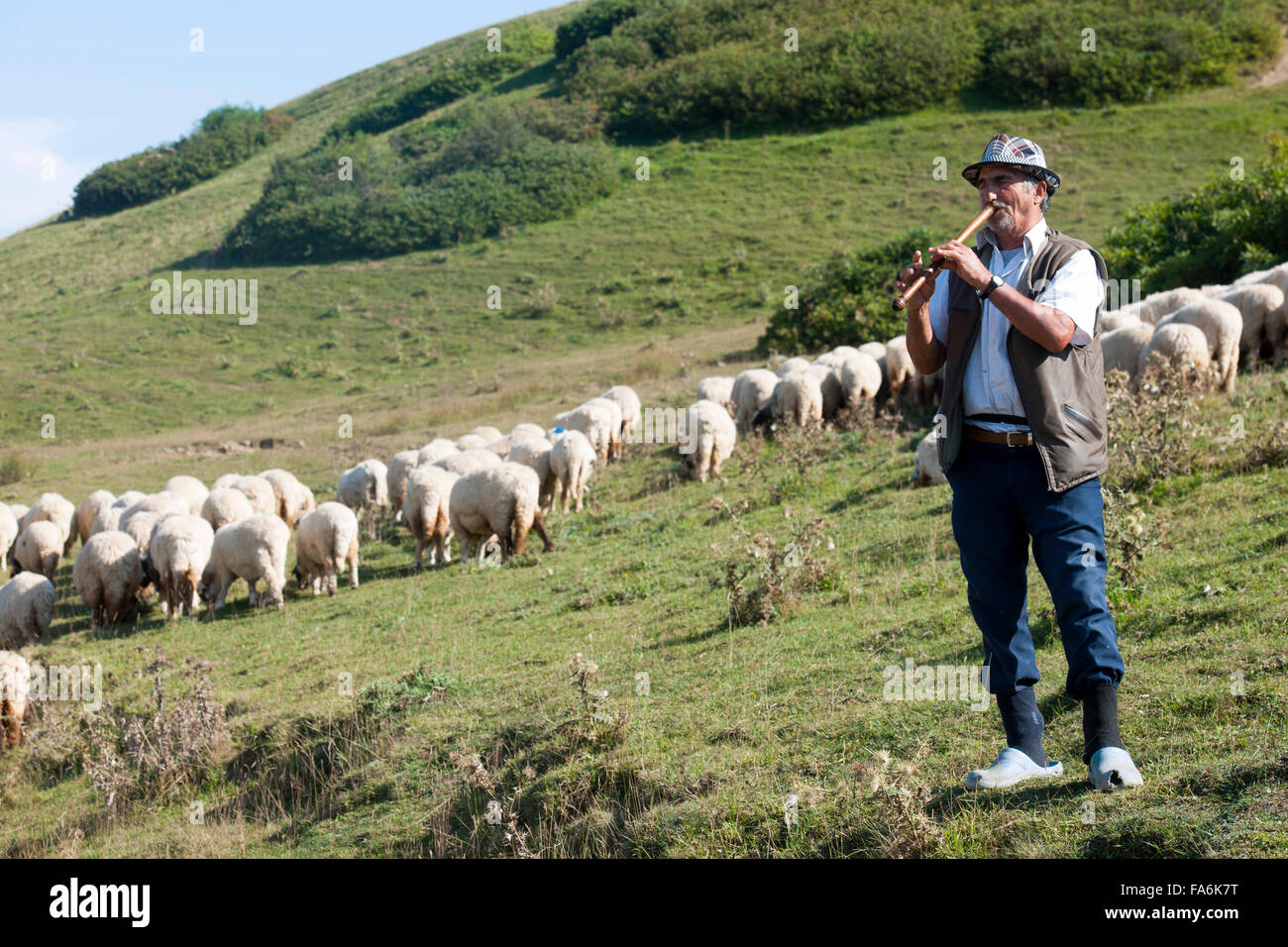 Schafhirte hi-res stock photography and images - Alamy