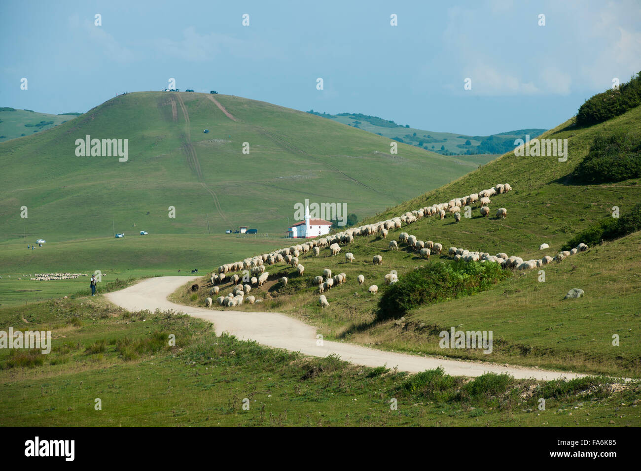 Türkei, westliche Schwarzmeeküste, Provinz Ordu, Persembe Yailasi ...