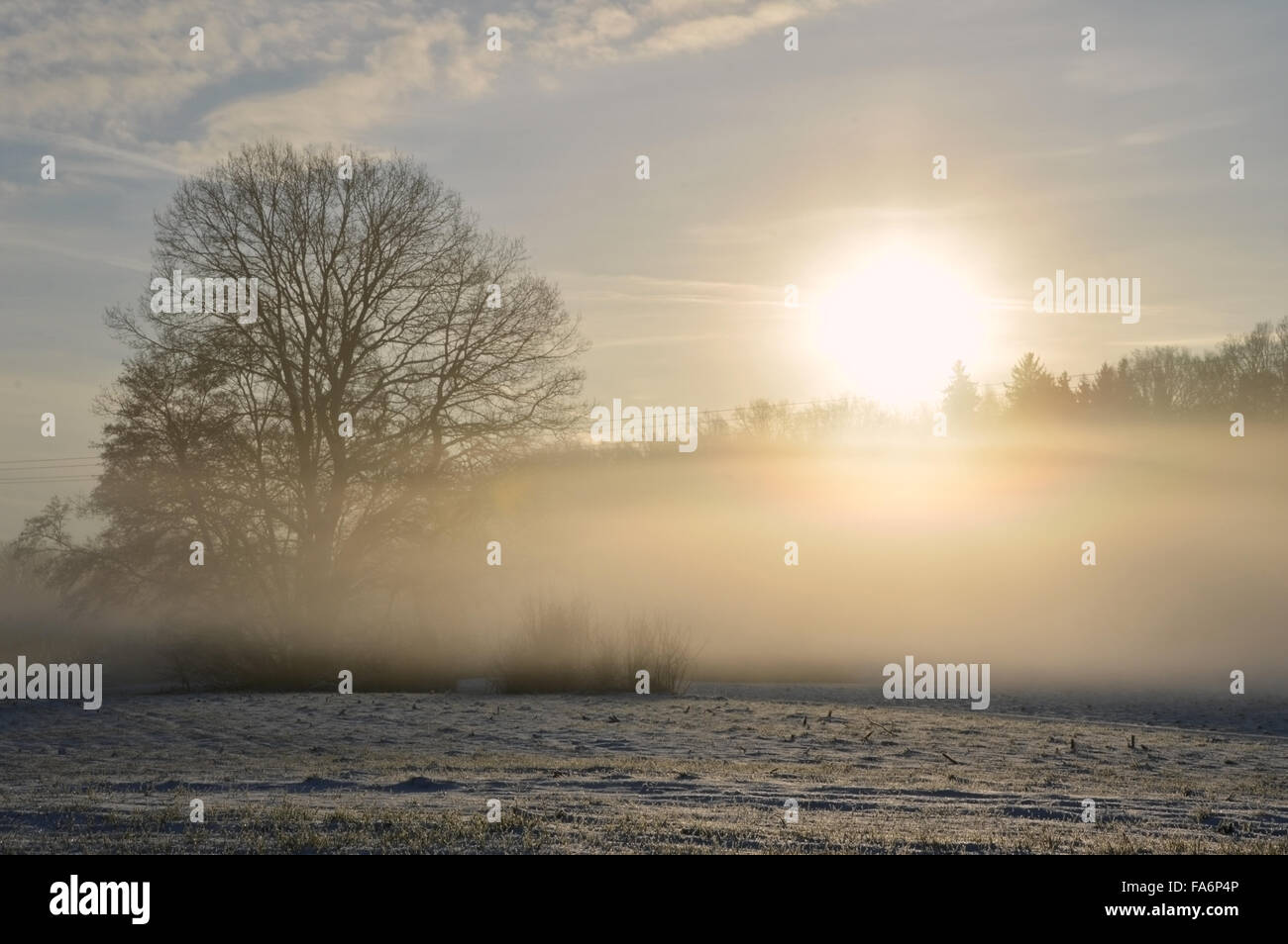 Pale winter sunlight hi-res stock photography and images - Alamy