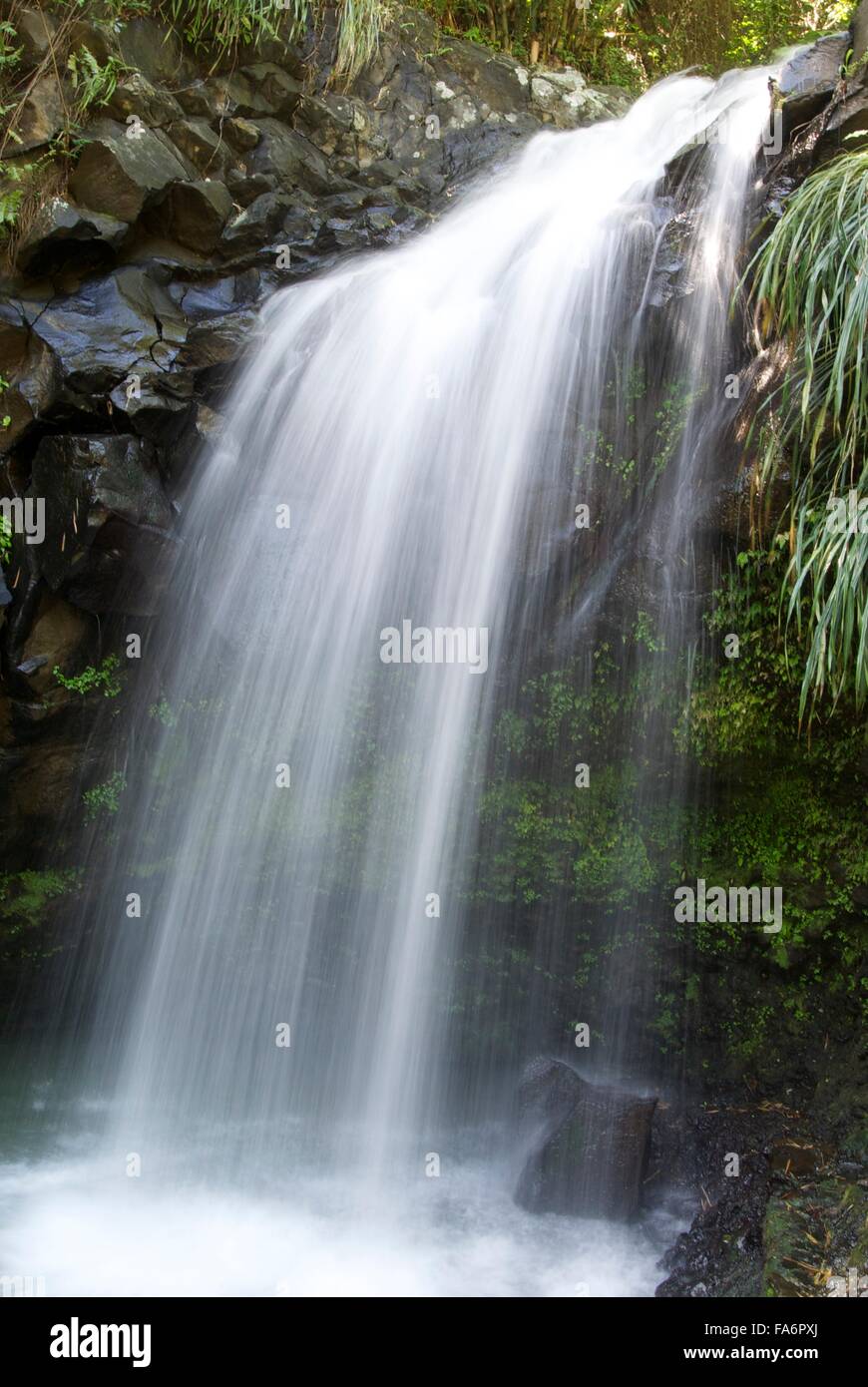 Waterfall in Grenada Stock Photo - Alamy