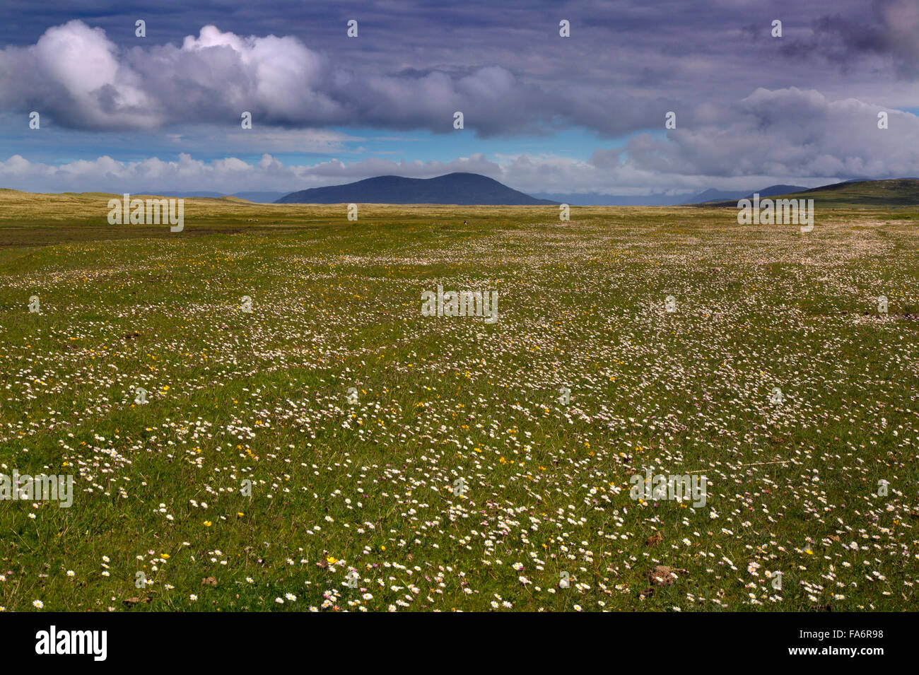 Machair and dunes at Traigh lar North Uist Hebrides Stock Photo - Alamy