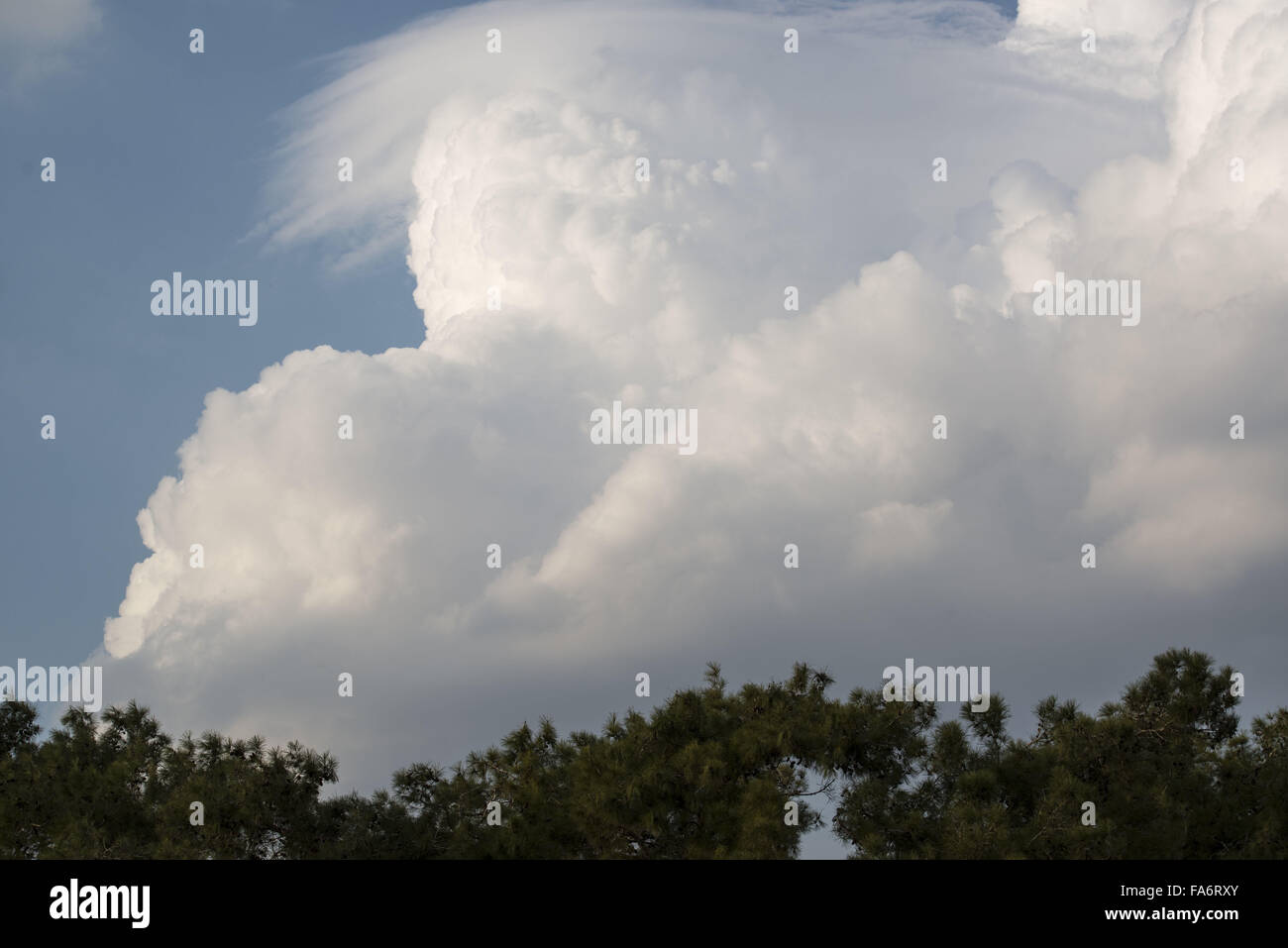 Yokneam, Israel, Israel. 19th Dec, 2015. North Israel landscape in ...