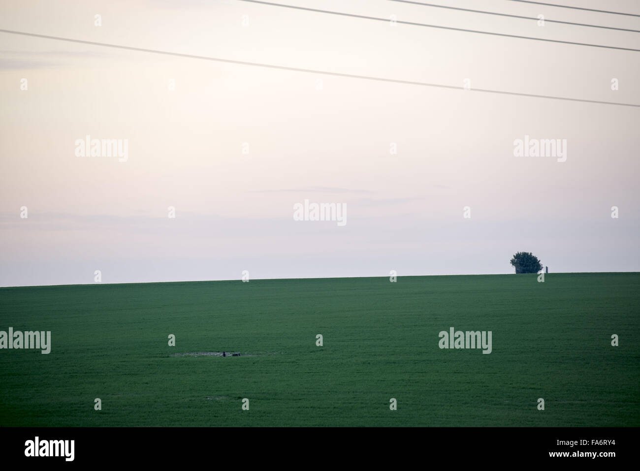 Yokneam hi-res stock photography and images - Alamy