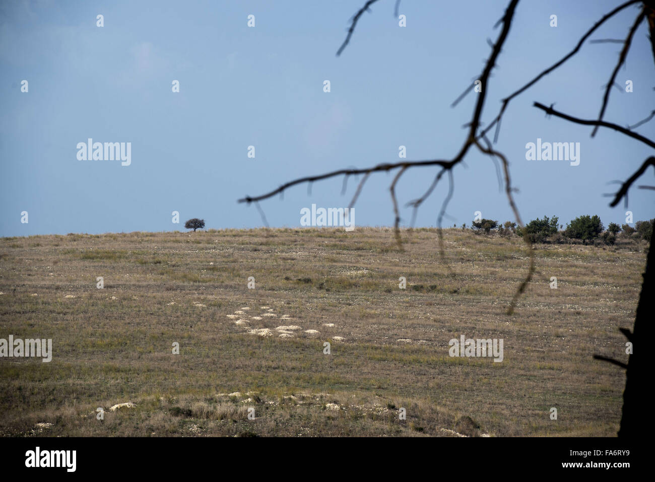 Yokneam, Israel, Israel. 19th Dec, 2015. North Israel landscape in ...