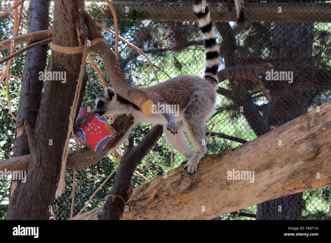 Buin zoo chile hi-res stock photography and images - Alamy