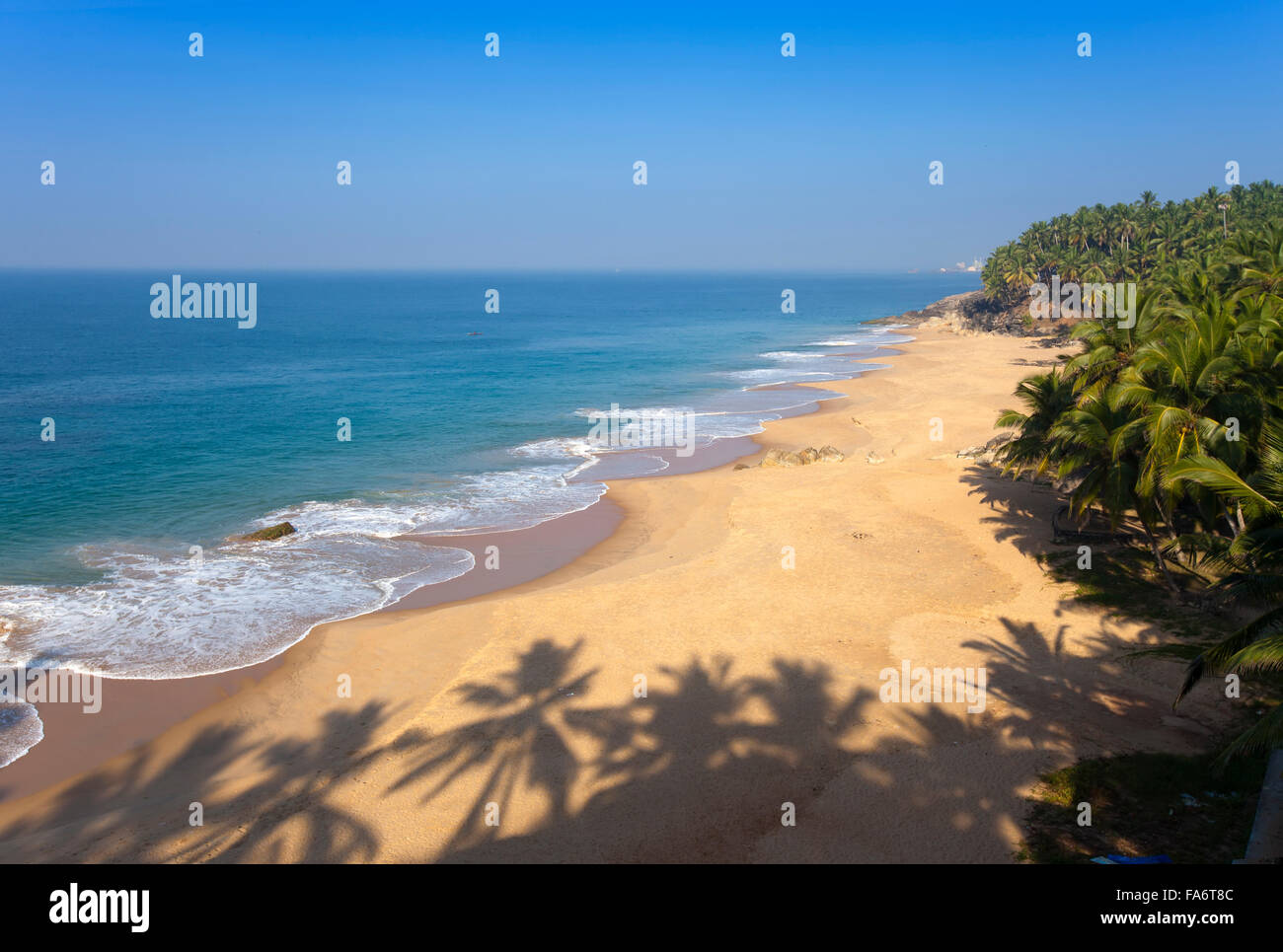 The seashore with stones and palm trees. India. Kerala Stock Photo - Alamy
