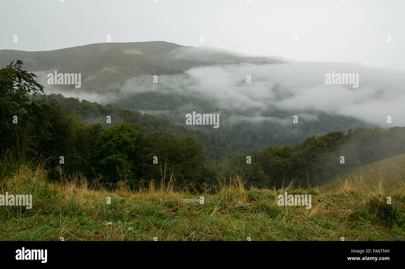Thick white mist in the mountains Stock Photo - Alamy
