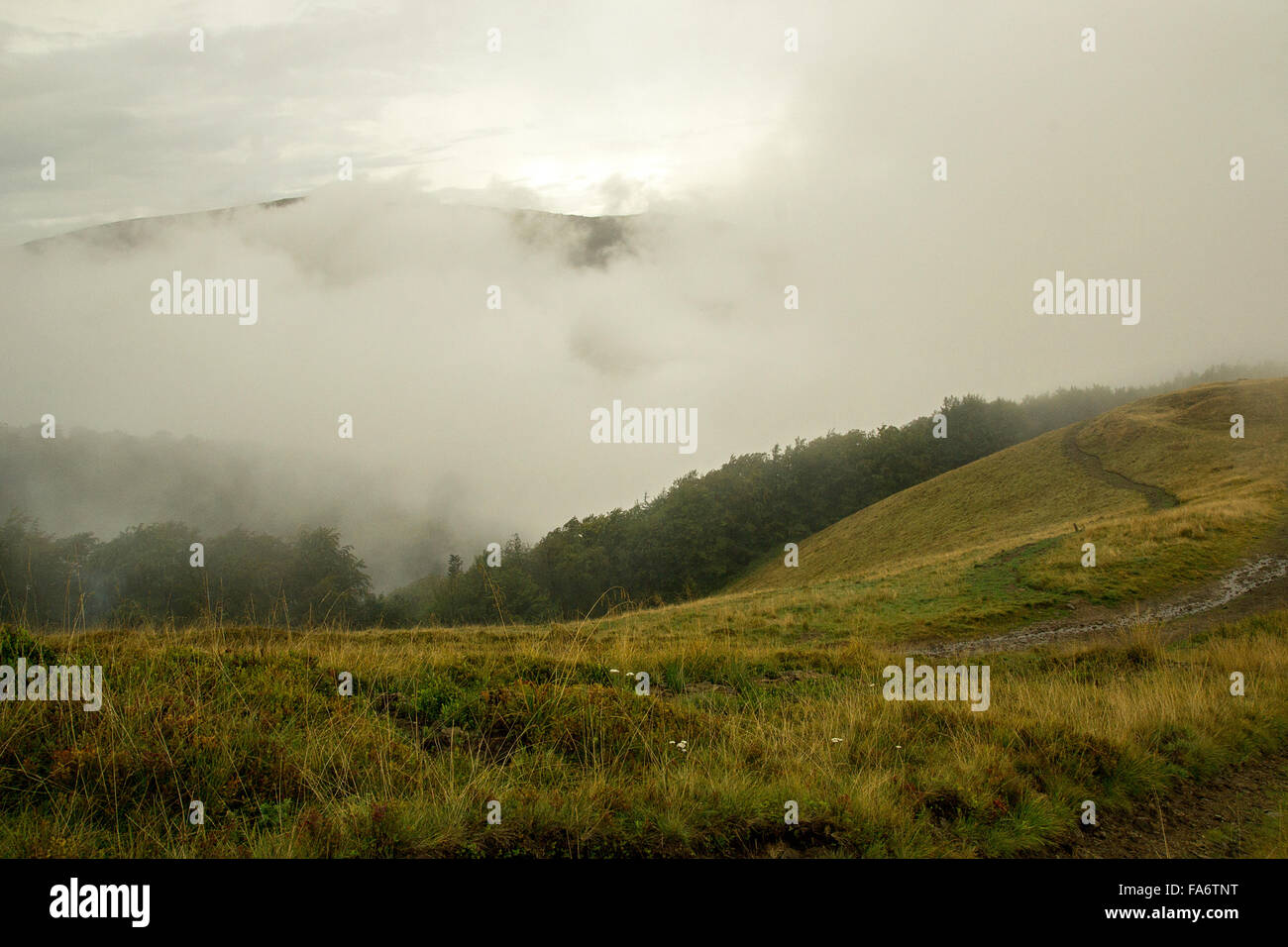 Thick white mist in the mountains Stock Photo - Alamy