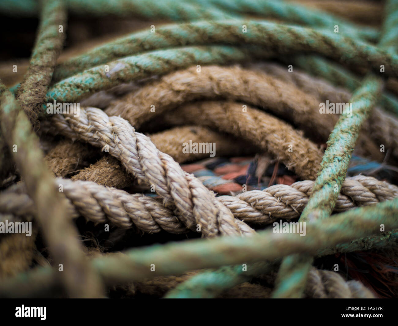 Fishing rope up close hi-res stock photography and images - Alamy