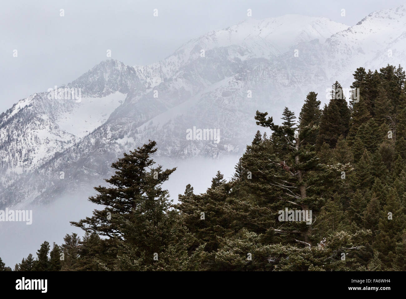 Crazy mountains montana hi-res stock photography and images - Alamy