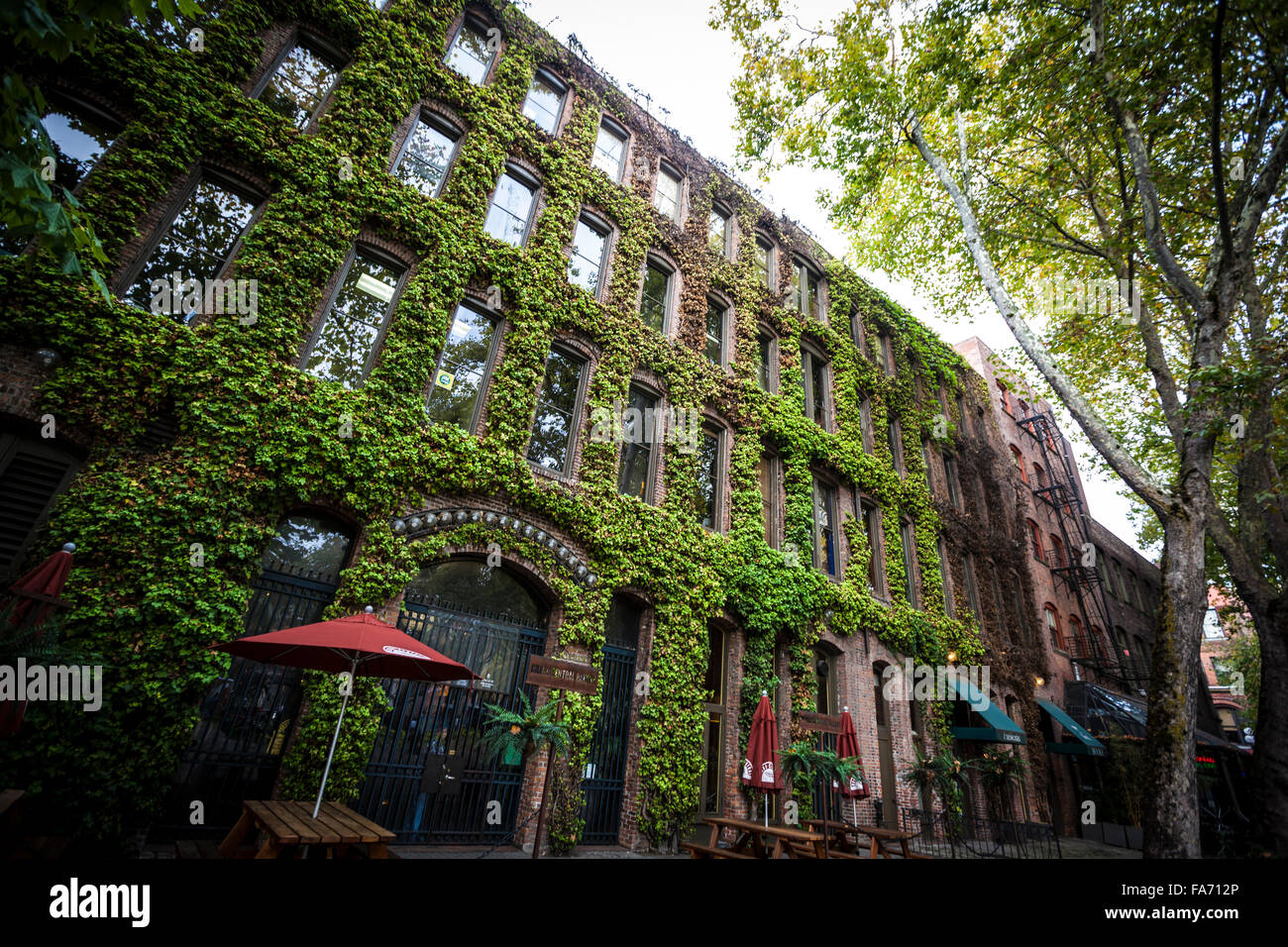Ivy Covered Office Building in Seattle Stock Photo - Alamy