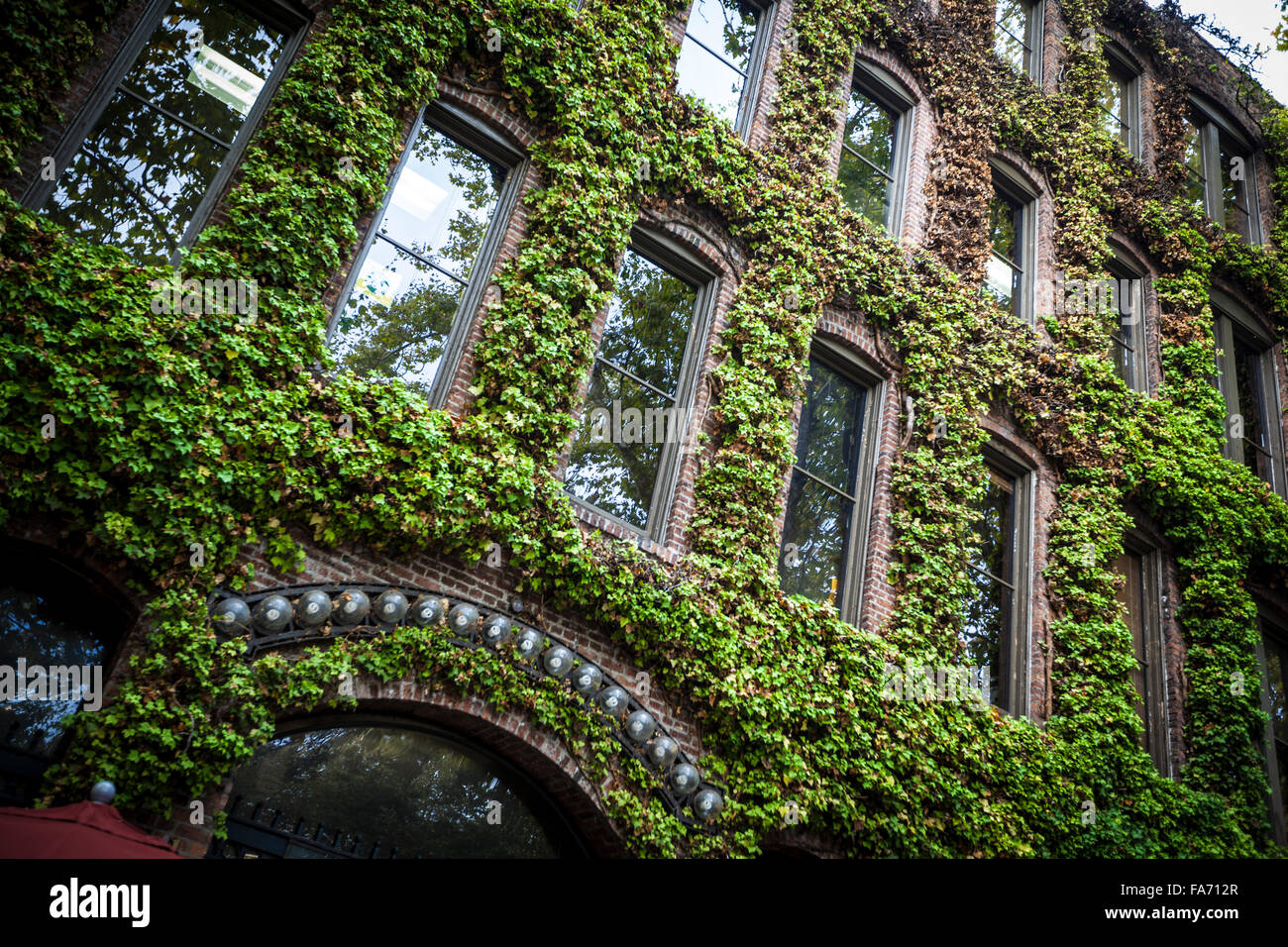 Ivy covered building hi-res stock photography and images - Alamy