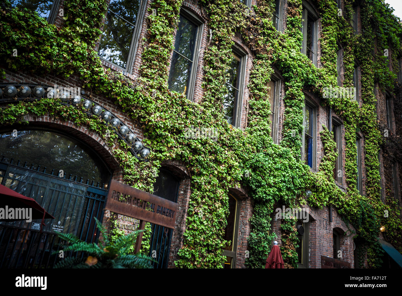 Ivy Covered Office Building in Seattle Stock Photo - Alamy