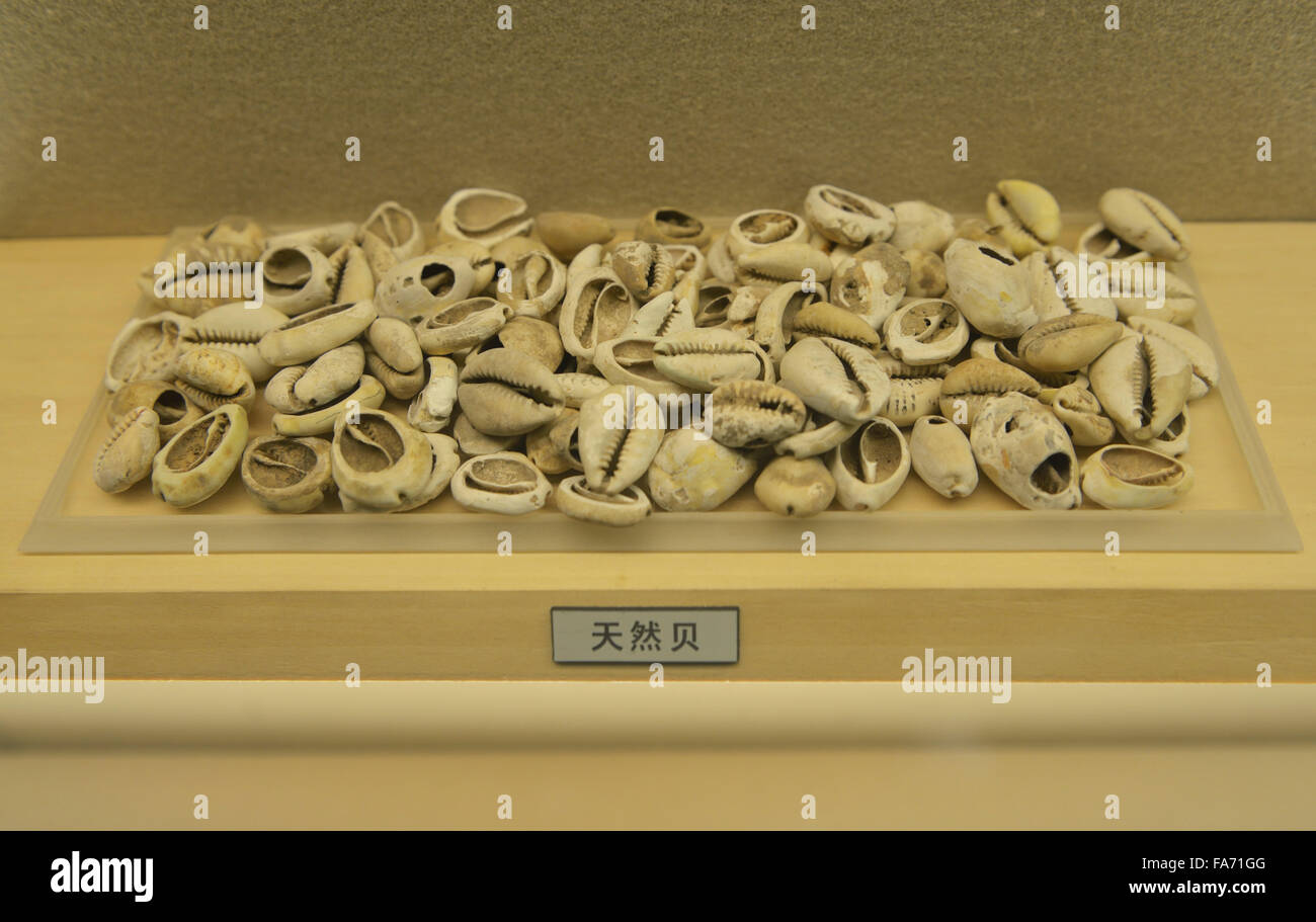 Cowries hi-res stock photography and images - Alamy