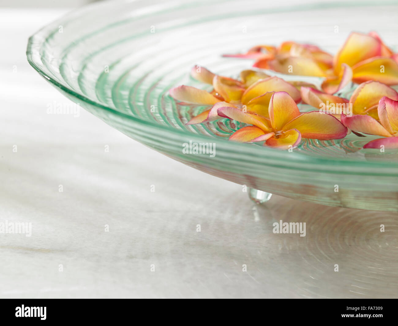 Plumeria flower floating on water Stock Photo - Alamy