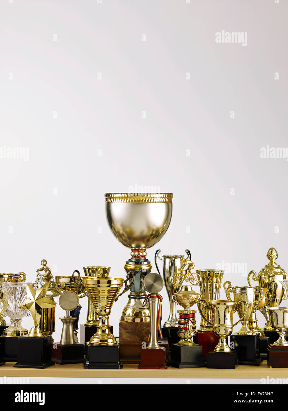 big trophy stand out from the others Stock Photo - Alamy