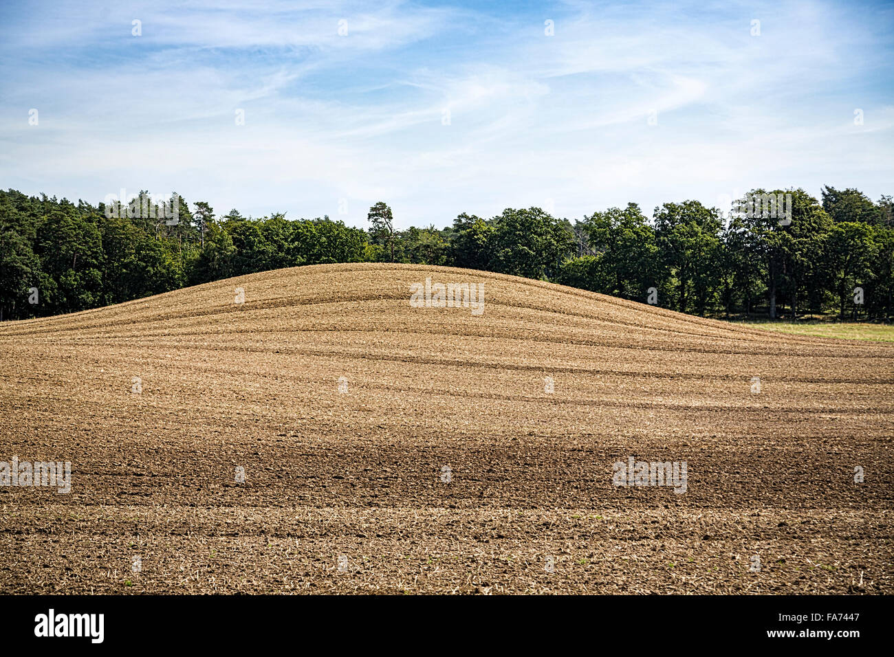 landscape with arable land, hill and forest Stock Photo - Alamy