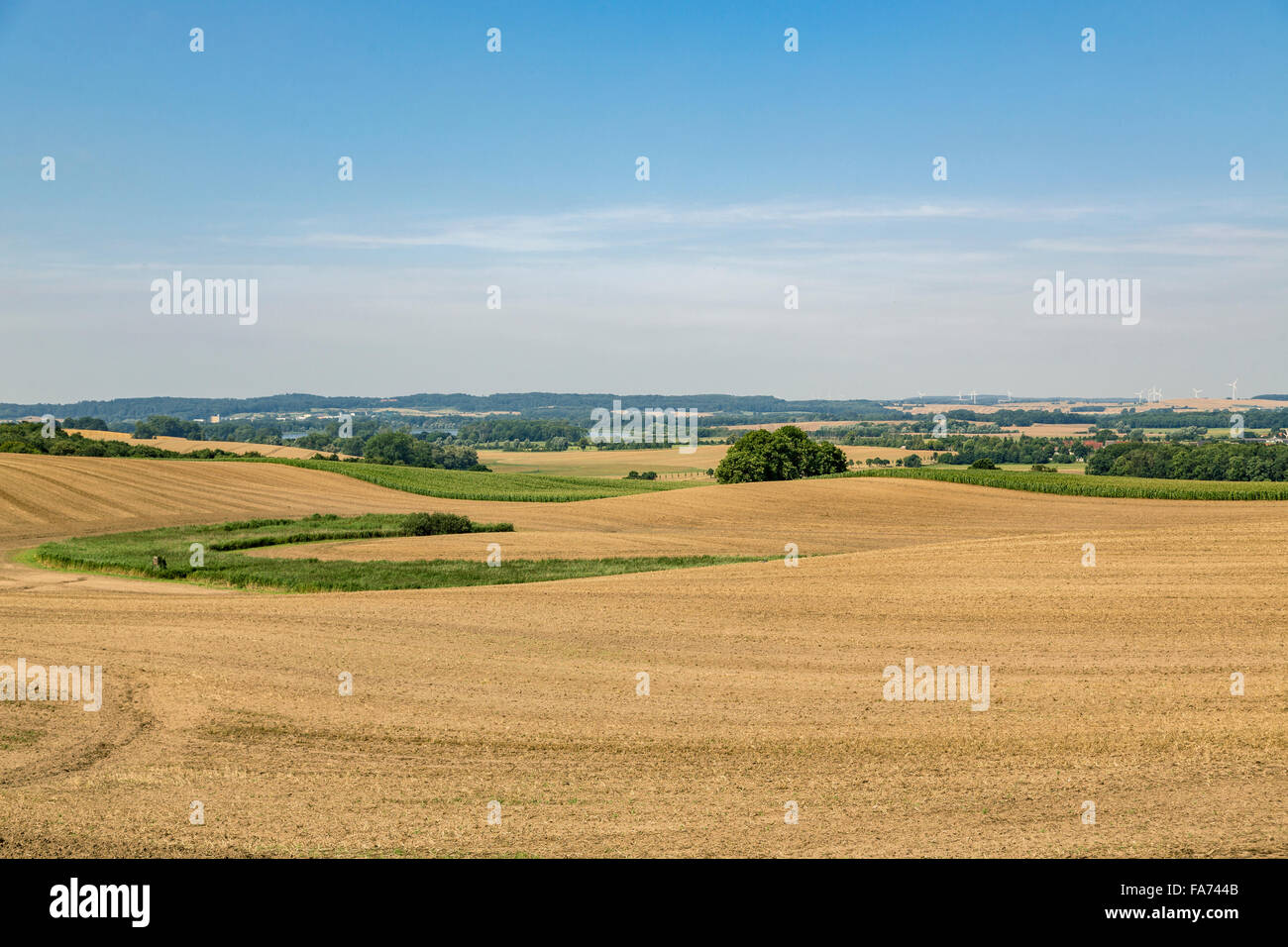 H'DR landscape with fields and cloudscape in summer Stock Photo - Alamy
