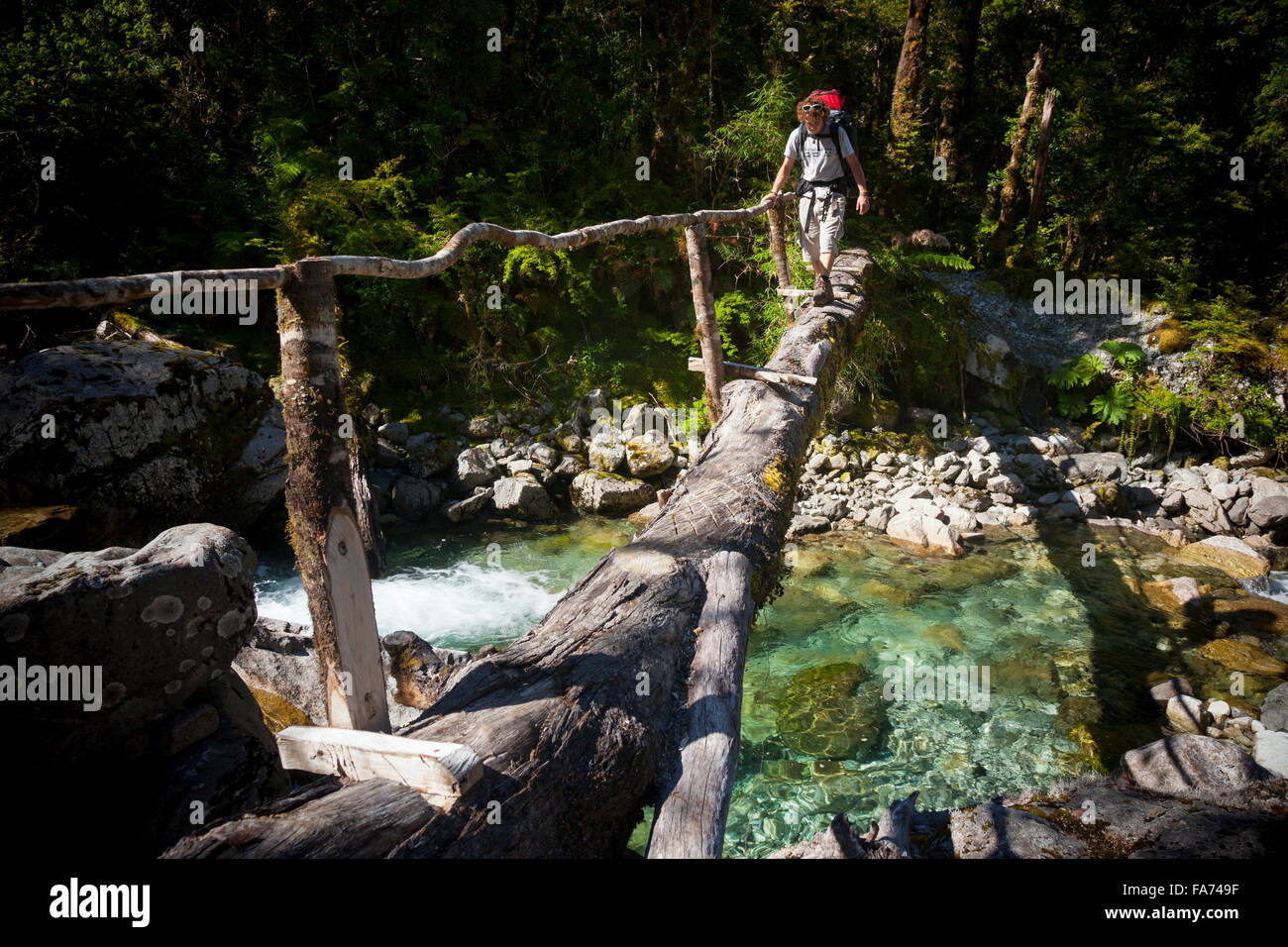 A remote log-bridge crossing in Chile's Cochamó, a valley accessible ...
