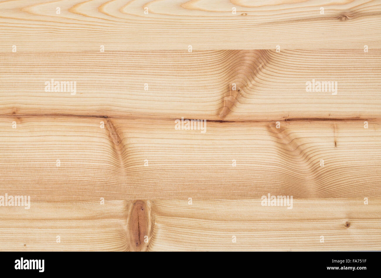 macro of spruce wood texture for backgrounds Stock Photo - Alamy