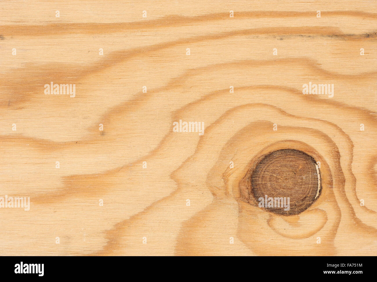macro of spruce wood texture for backgrounds Stock Photo - Alamy