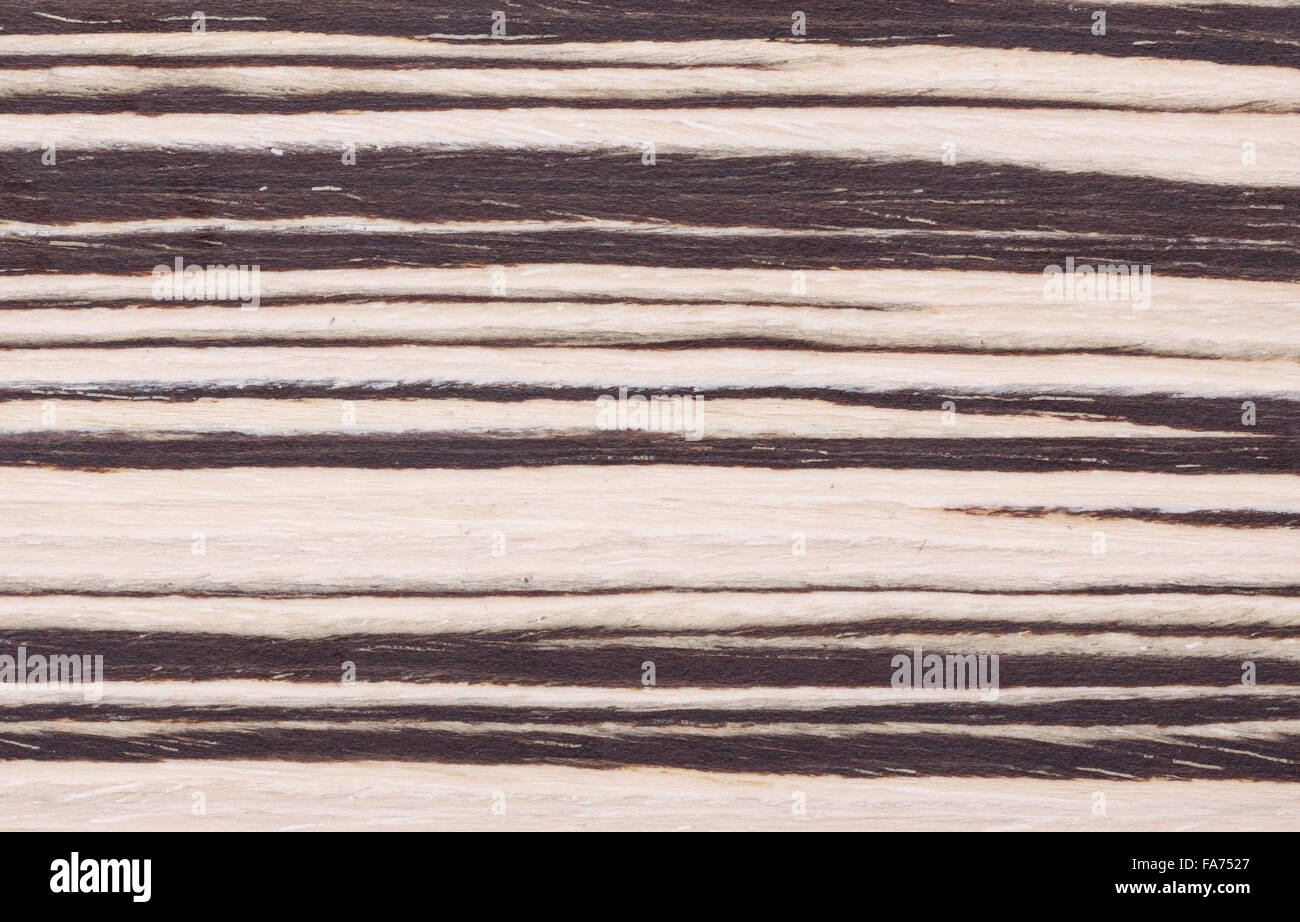macro of zebrano wood texture for backgrounds Stock Photo - Alamy