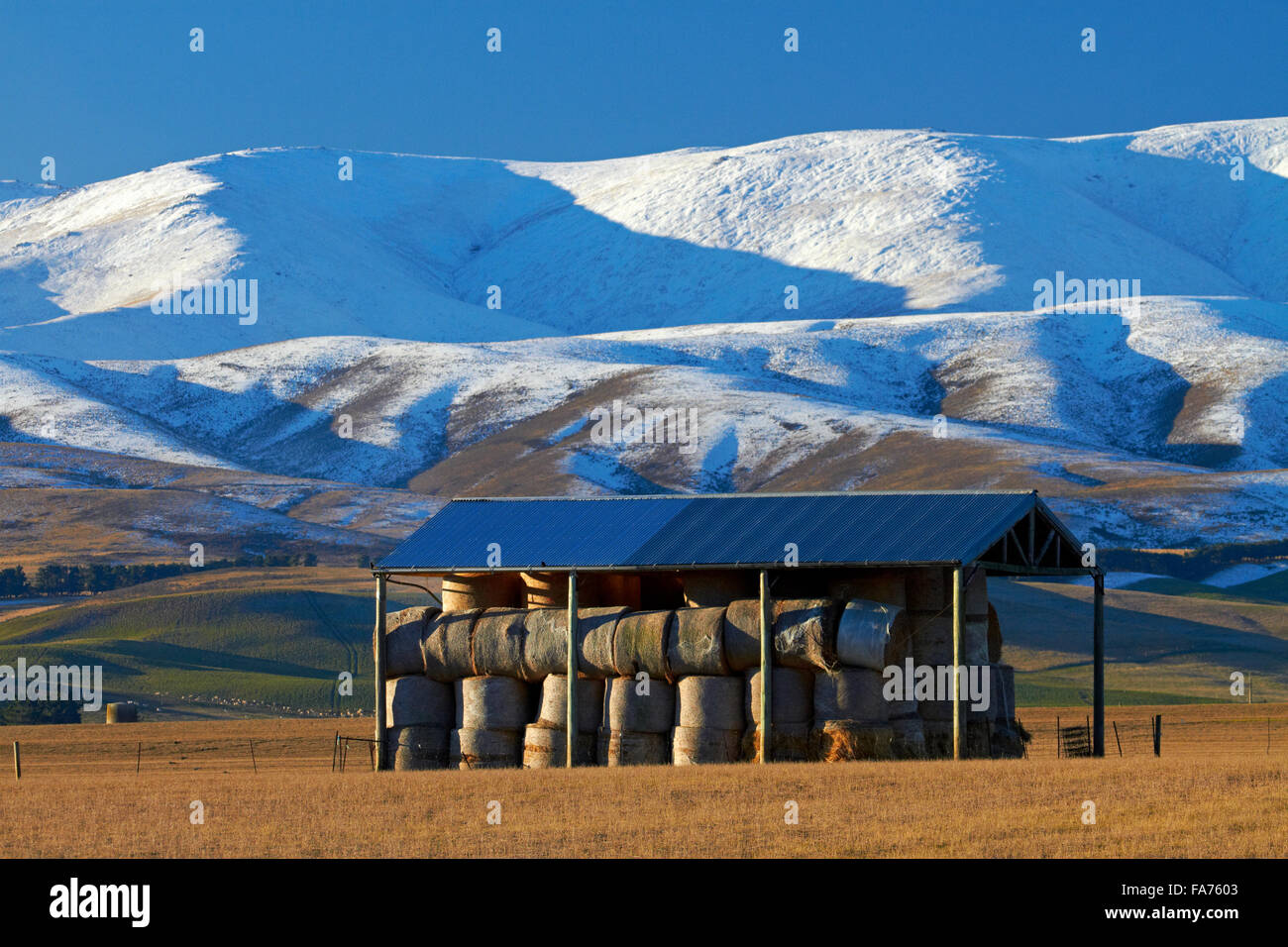 Hawkdun range hi-res stock photography and images - Alamy