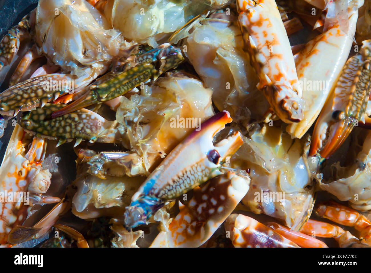 Fresh Crabs in fish market Stock Photo - Alamy