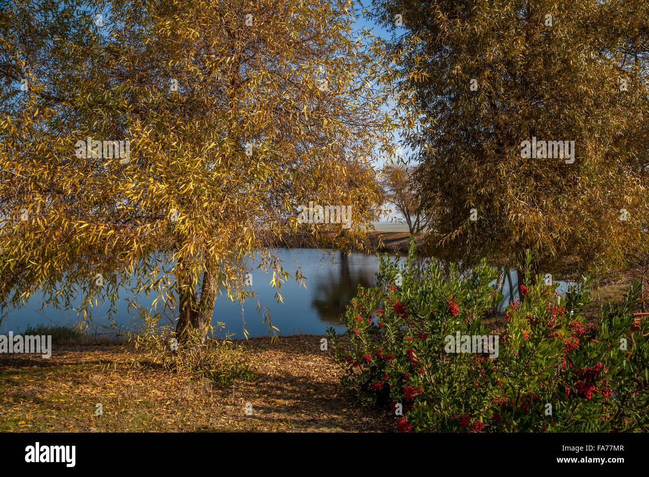 Winery gate hi-res stock photography and images - Alamy