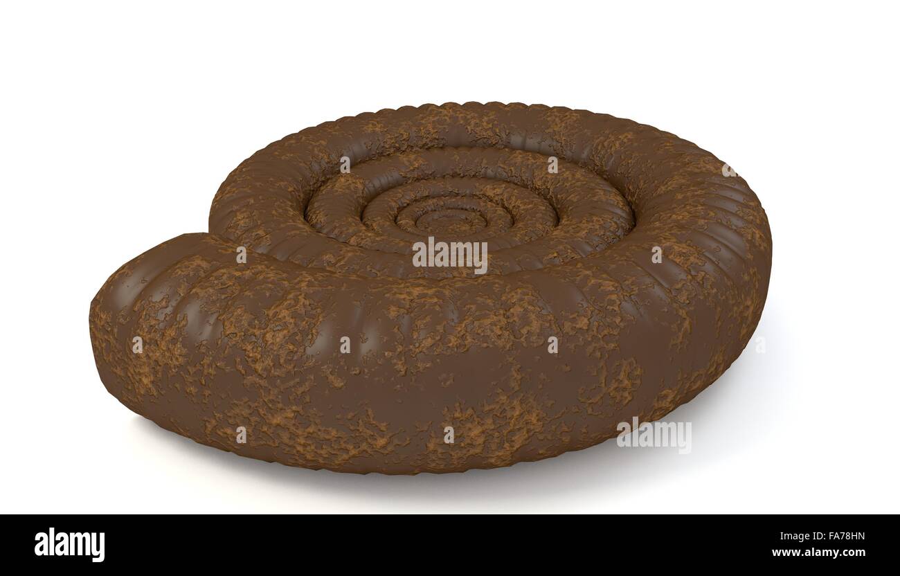 Ancient seashell hi-res stock photography and images - Alamy