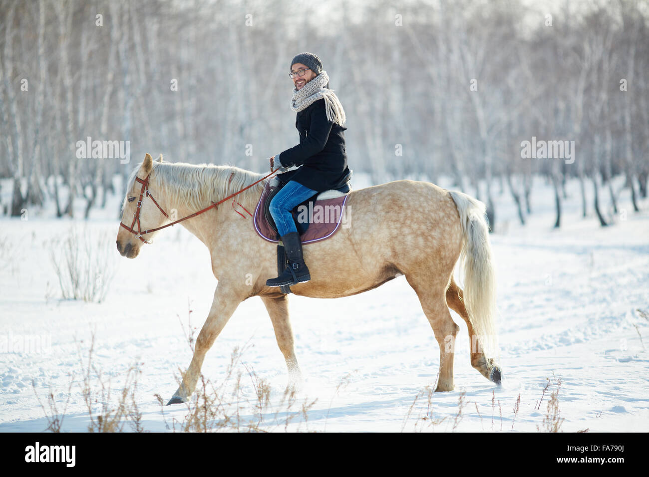 Young man riding on horse in the forest Stock Photo - Alamy