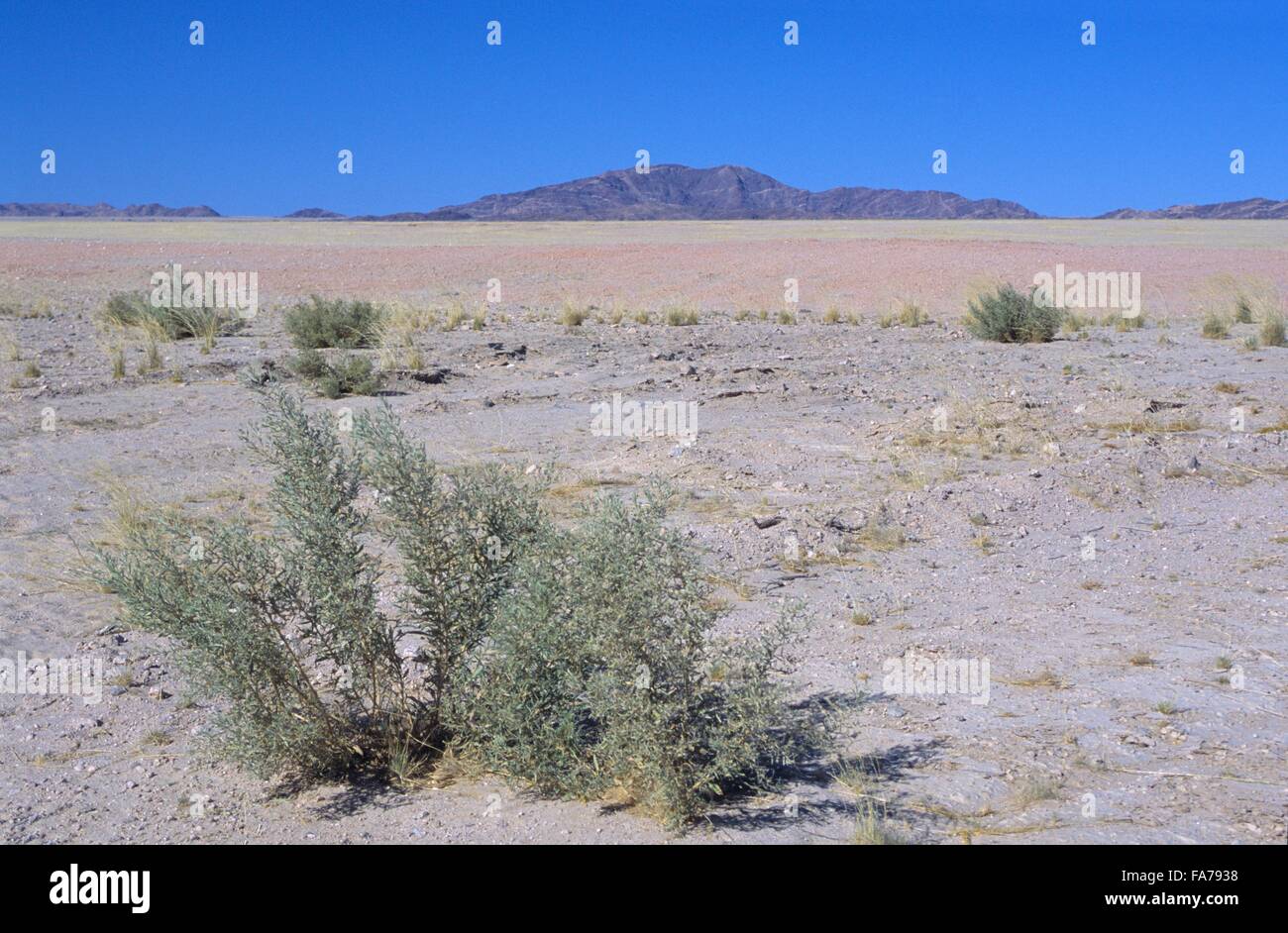 C14 road namibia hi-res stock photography and images - Alamy