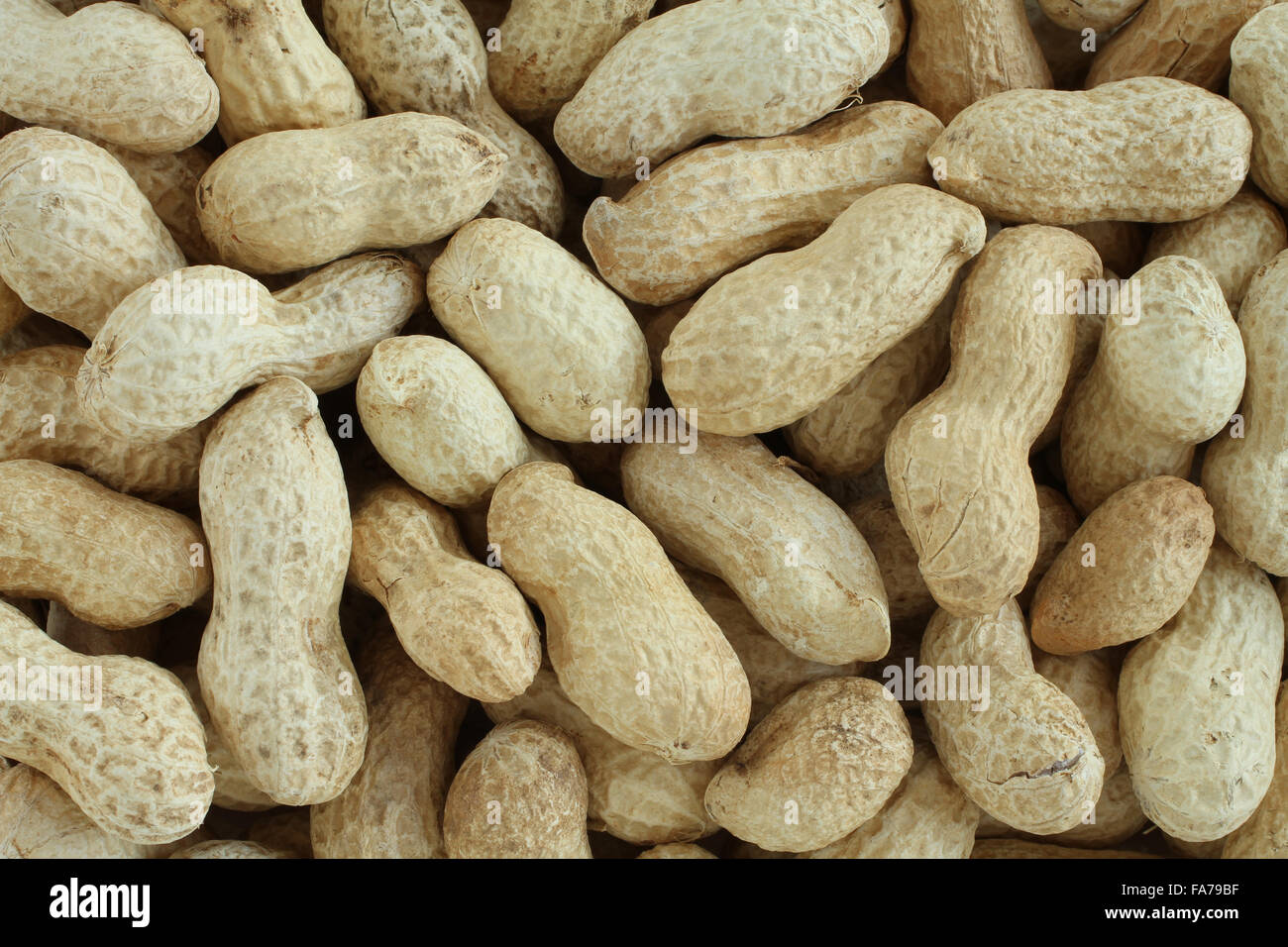 Food background - big peanuts in shell situated arbitrarily Stock Photo ...