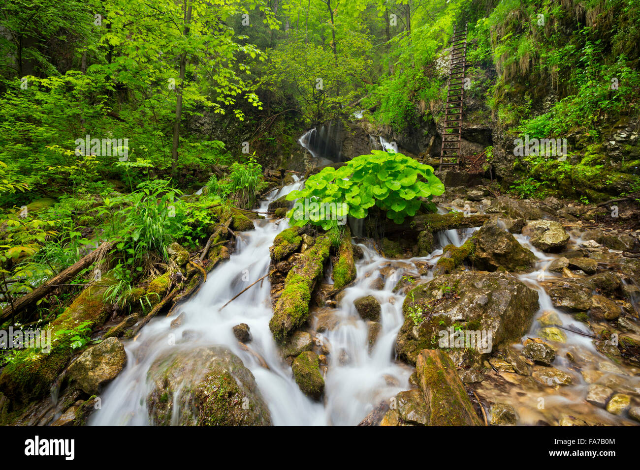 Slovensky raj hi-res stock photography and images - Alamy