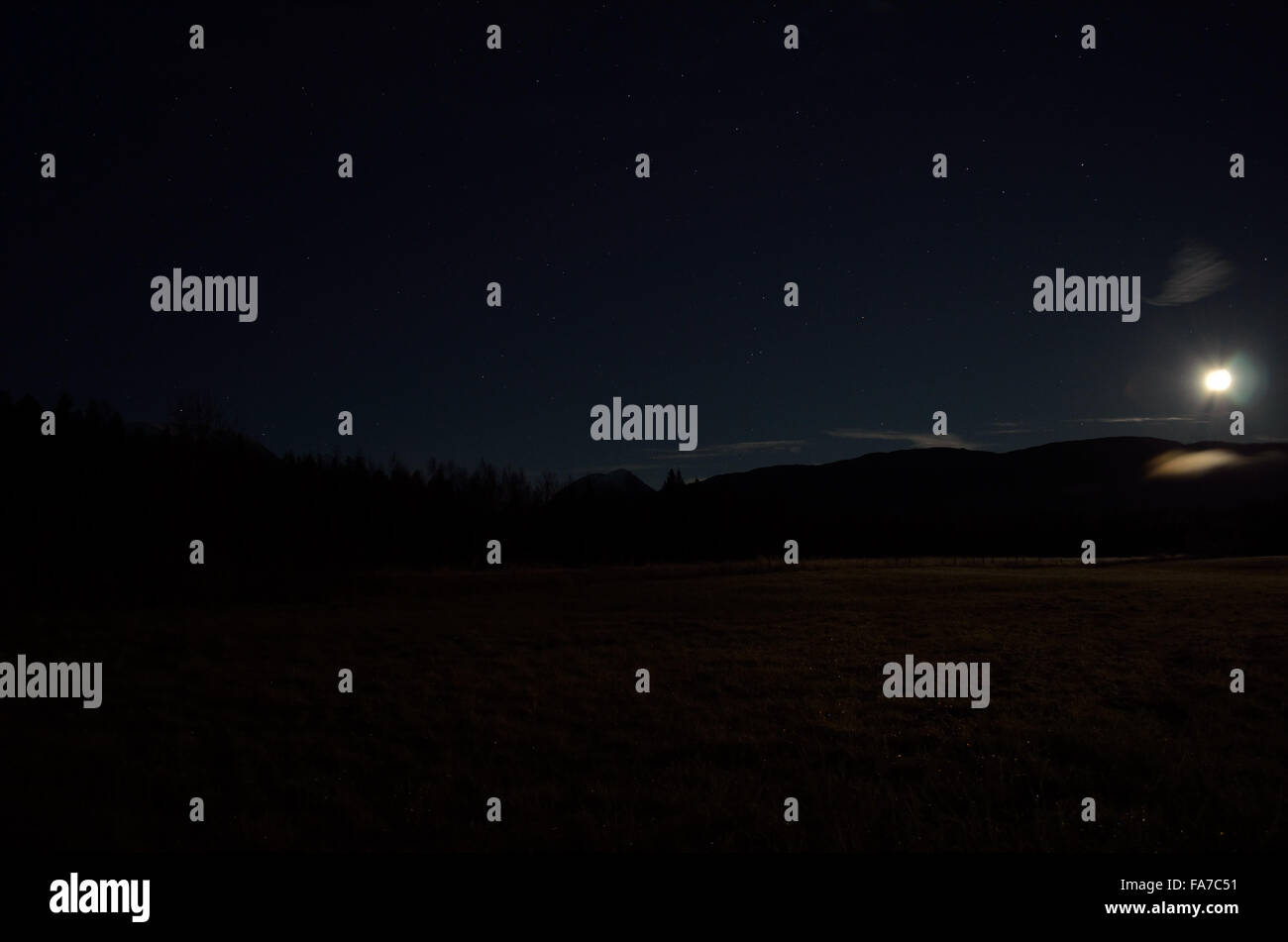 Full moon over spruce forest hi-res stock photography and images - Alamy