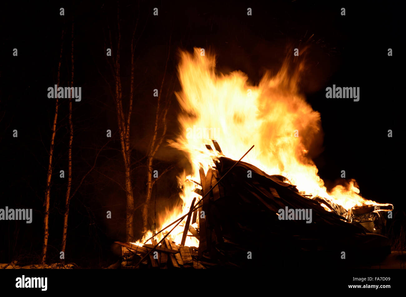 massive bonfire in winter night birch tree forest Stock Photo - Alamy